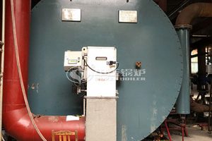 10 Million Kcal Gas-fired Thermal Oil Heater for Textile Plant - Boiler Sales