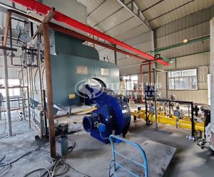 4000kg/h Diesel Fuel Steam Boiler - Horizontal Gas Boiler