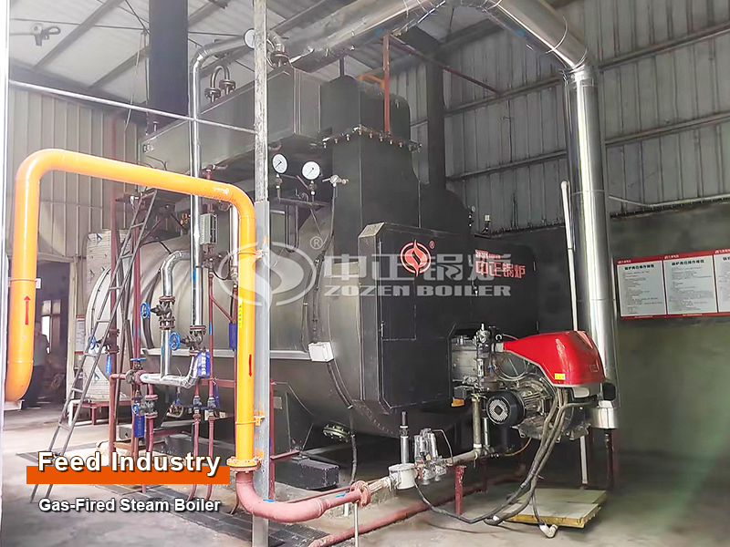 4 TPH Gas Steam Boiler Empowering Feed industry - Horizontal Gas Boiler