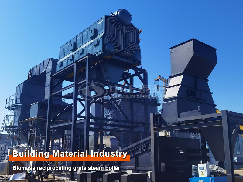 19-Ton Biomass Reciprocating Grate Steam Boiler in Building Material ...