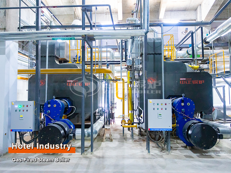 Biomass Palm Shell Boiler Provides Efficient Heating for Thailand Tire ...