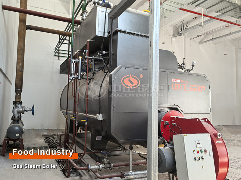 Hot Selling Gas Fired Boiler in Feed Industry - Horizontal Gas Boiler