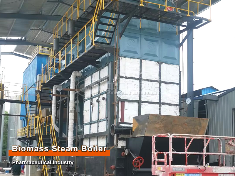 Pharmaceutical Industry 10 TPH Biomass Fired Steam Boiler - Horizontal ...