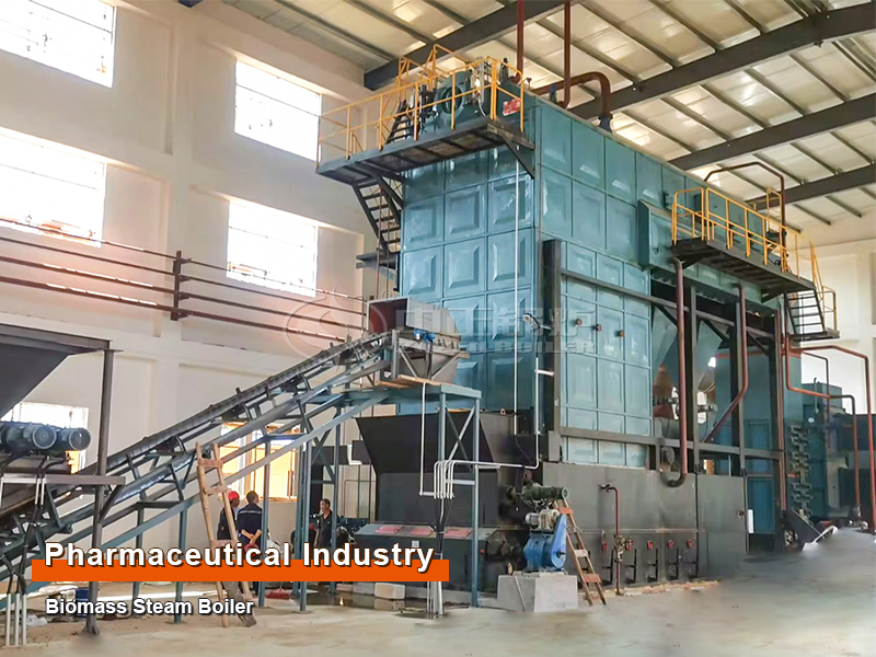 Biomass Palm Shell Boiler Provides Efficient Heating for Thailand Tire ...