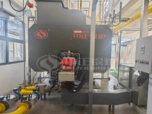 Pharmaceutical Industry 8-Ton Biogas Fired Steam Boiler - Horizontal ...